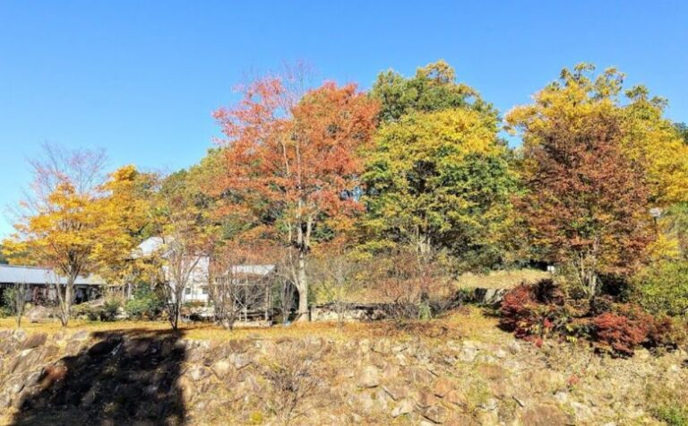 島根県の絶景キャンプ場＆グランピング施設13選！大自然を満喫できるスポット | JIMOHACK（ジモハック）松江市版