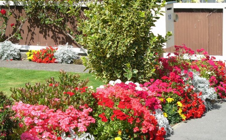 松江市でおすすめの造園業者5選！庭づくり・剪定・外構工事もお任せ | JIMOHACK（ジモハック）松江市版