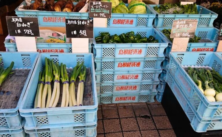 松江市の厳選フルーツ店｜贈答用やこだわり果物を買えるお店 | JIMOHACK（ジモハック）松江市版