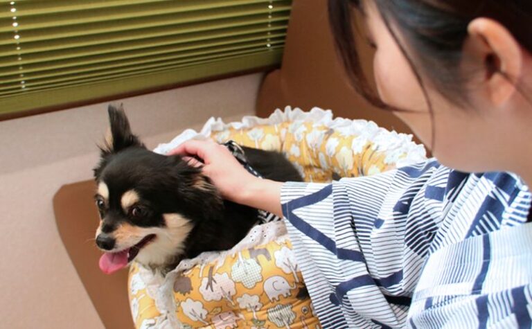 ドッグラン・露天風呂・一棟貸しも！島根の愛犬と泊まれる宿14選 | JIMOHACK（ジモハック）松江市版