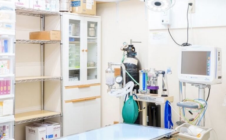 ペット救急にも対応！松江市動物病院13選 | JIMOHACK（ジモハック）松江市版