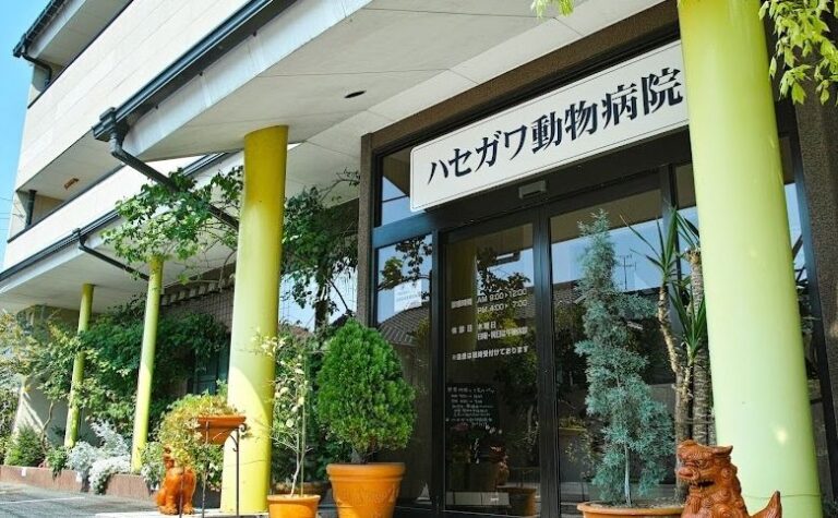 ペット救急にも対応！松江市動物病院13選 | JIMOHACK（ジモハック）松江市版