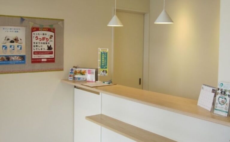 ペット救急にも対応！松江市動物病院13選 | JIMOHACK（ジモハック）松江市版