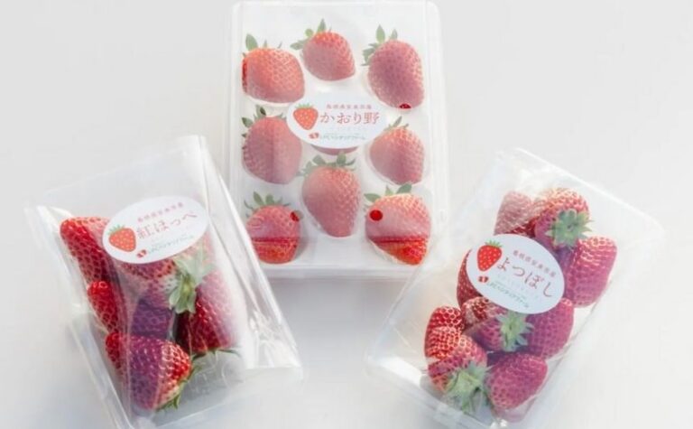 松江から30分！安来市で楽しむ春のいちご狩り体験 | JIMOHACK（ジモハック）松江市版