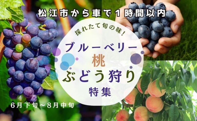 6〜8月シーズン到来｜松江市周辺ブルーベリー・桃・ぶどう狩り | JIMOHACK（ジモハック）松江市版