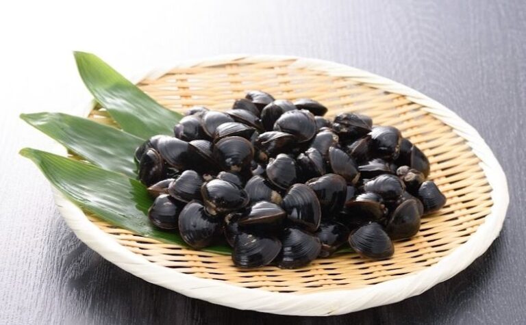 【宍道湖産しじみ通販】人気ランキング＆本当に美味しい国産品5選 | JIMOHACK（ジモハック）松江市版